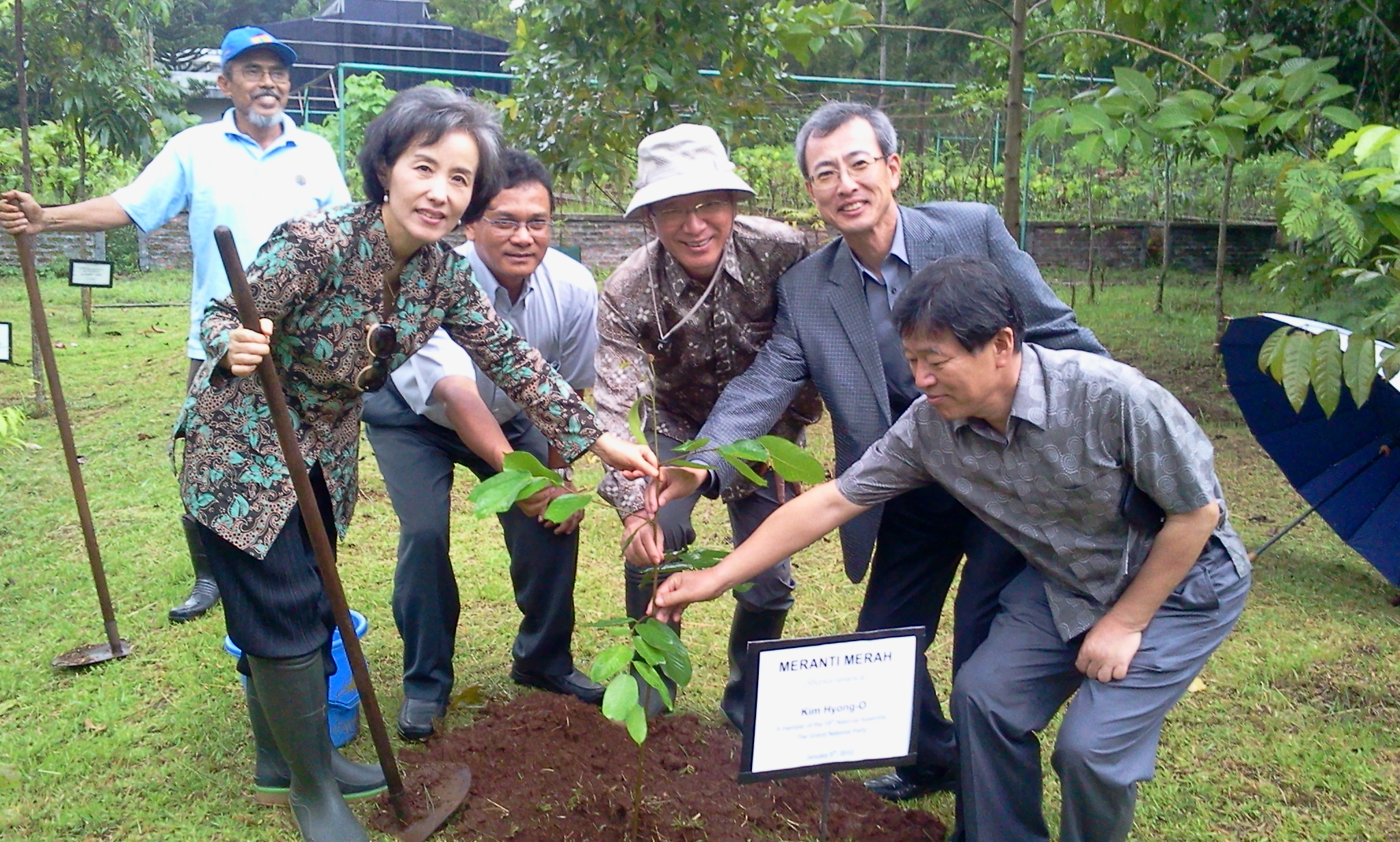 Tamu pertama 2012 di "Rumpin seed source and Nursery center" 상세보기 ...